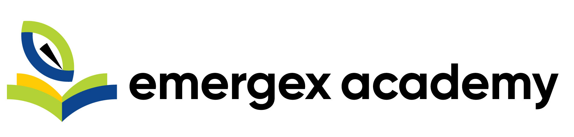 Emergex Academy – Upskilling to power a sustainable future